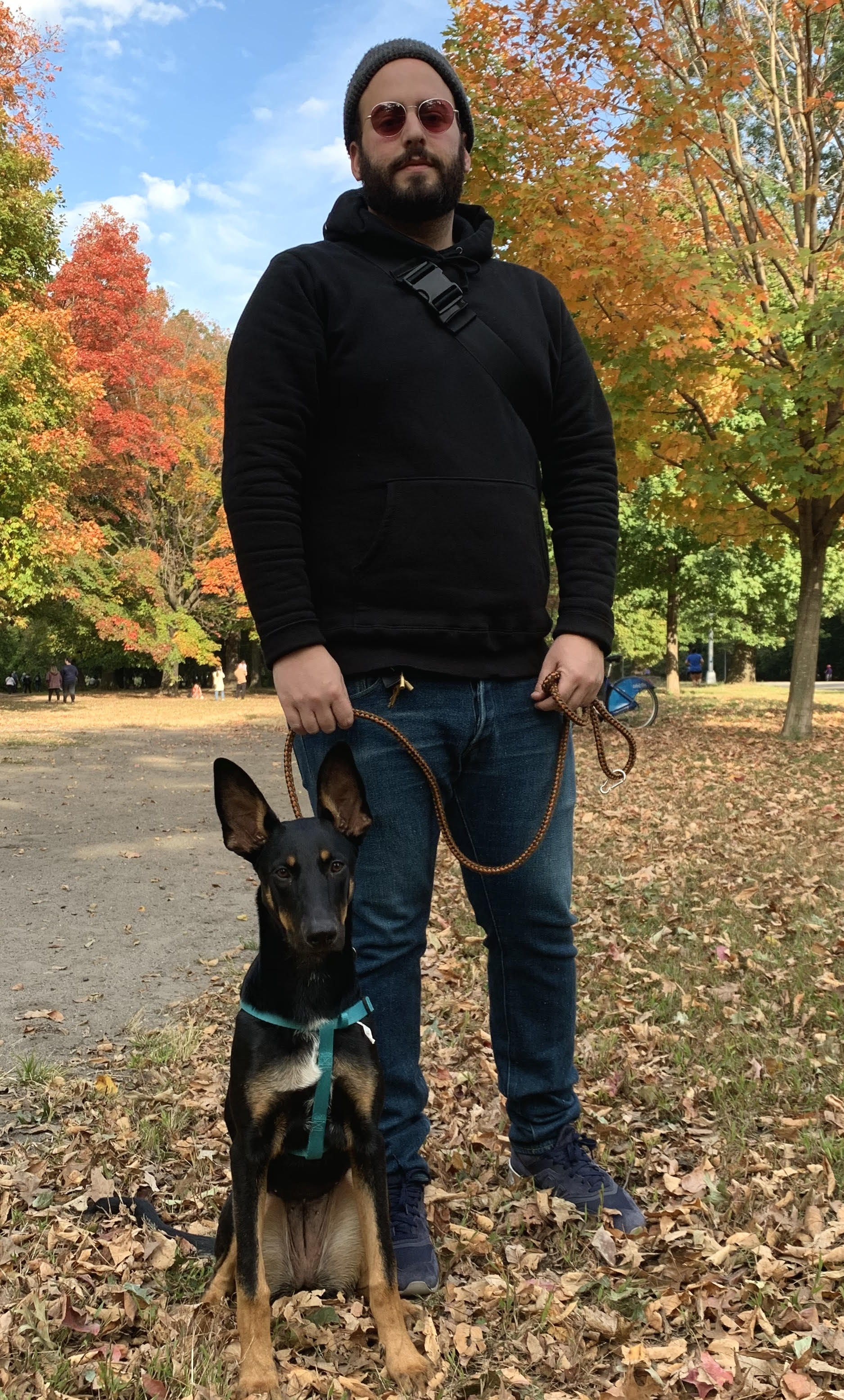 Mitch Raznick Working Portfolio